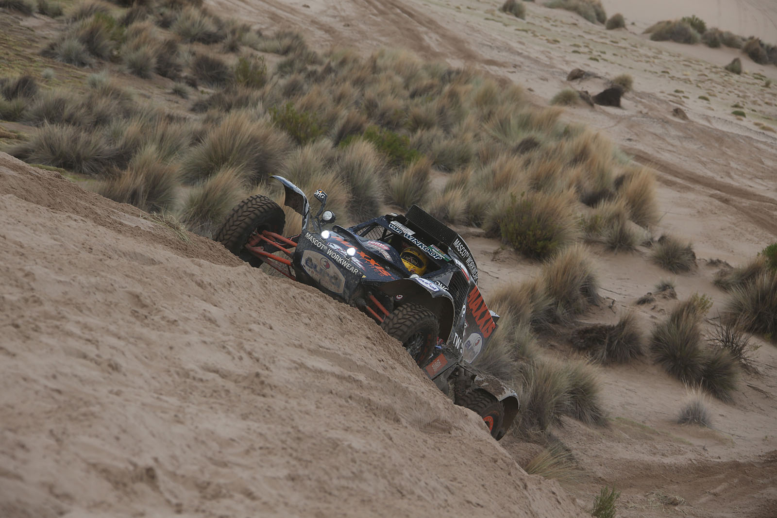 Tim and Tom Coronel can almost see the chequered flag | Coronel Dakar Team
